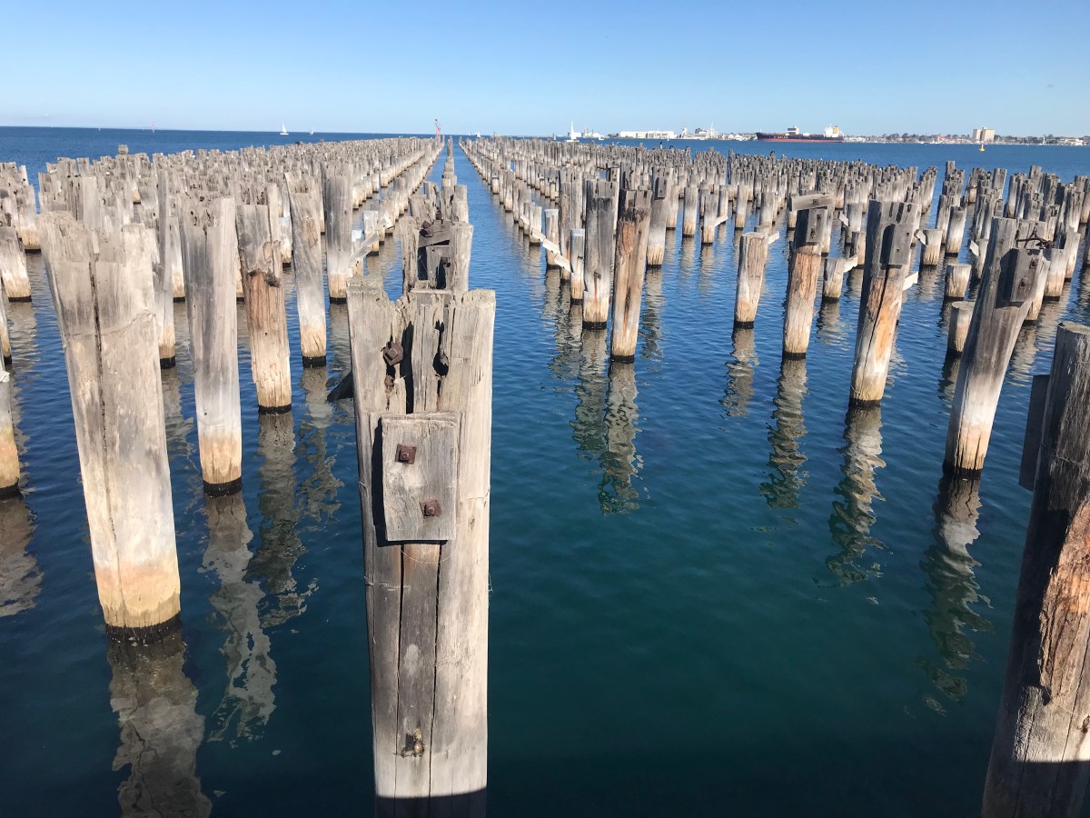2022 Princess Pier to Webb Dock walk – Sophie Couchman